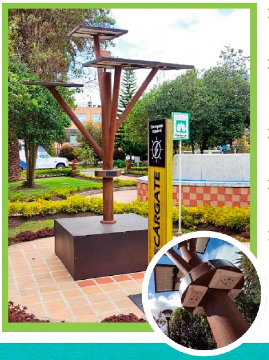 ¿Sabes las nuevas medidas para utulizar el árbol solar?-Noticias